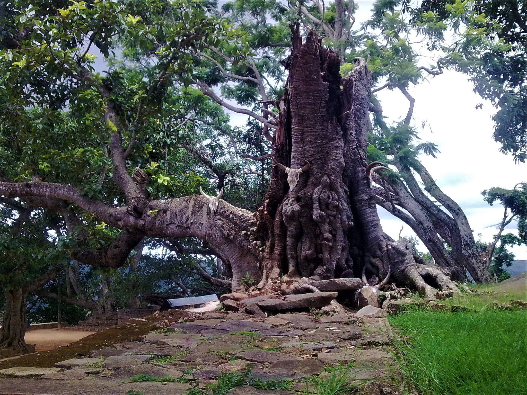TOURISME : GUIDE DE VISITE DU VILLAGE ET DU ROVA AMBOHIMANGA ...
